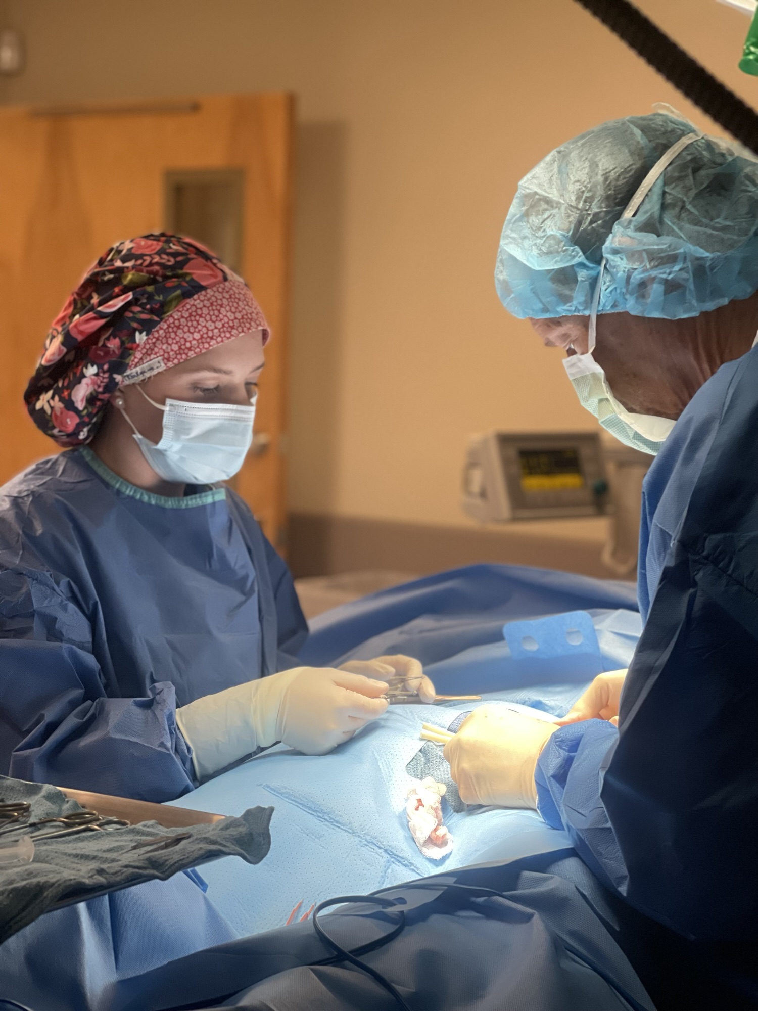 Vasectomy Reversal Success Predictor Insights